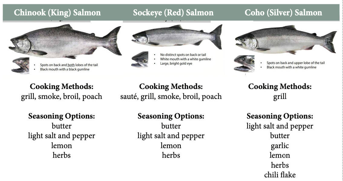 Coho Vs Chinook Salmon