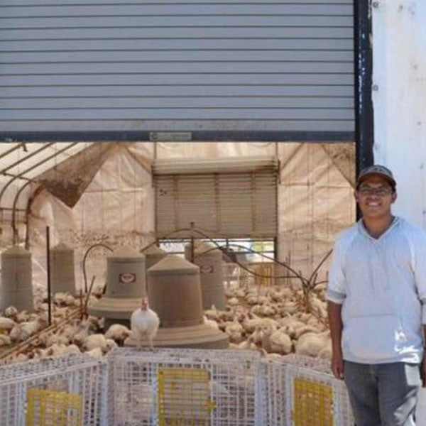 Ridgeview Farms "Home of the Happy Chickens" – Gather Arizona Express