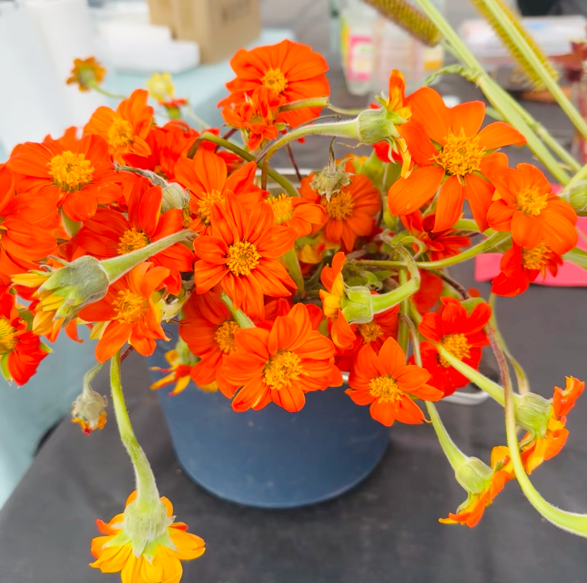 Agatha's Flower Farm – Gather Arizona Express