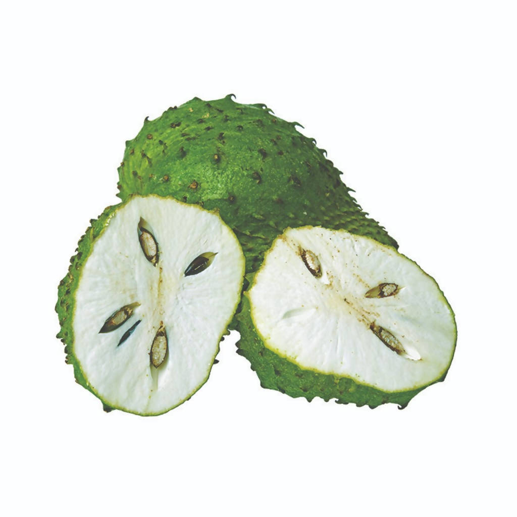 Wild Guanabana popsicle – Gather Arizona Express